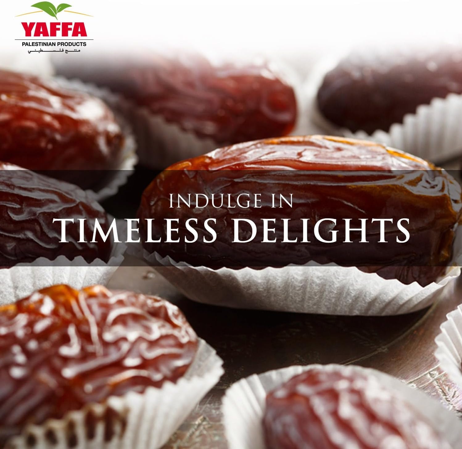 Palestinian Medjoul Dates - Large NATURAL Khejoor, Yaffa Delicious and ...